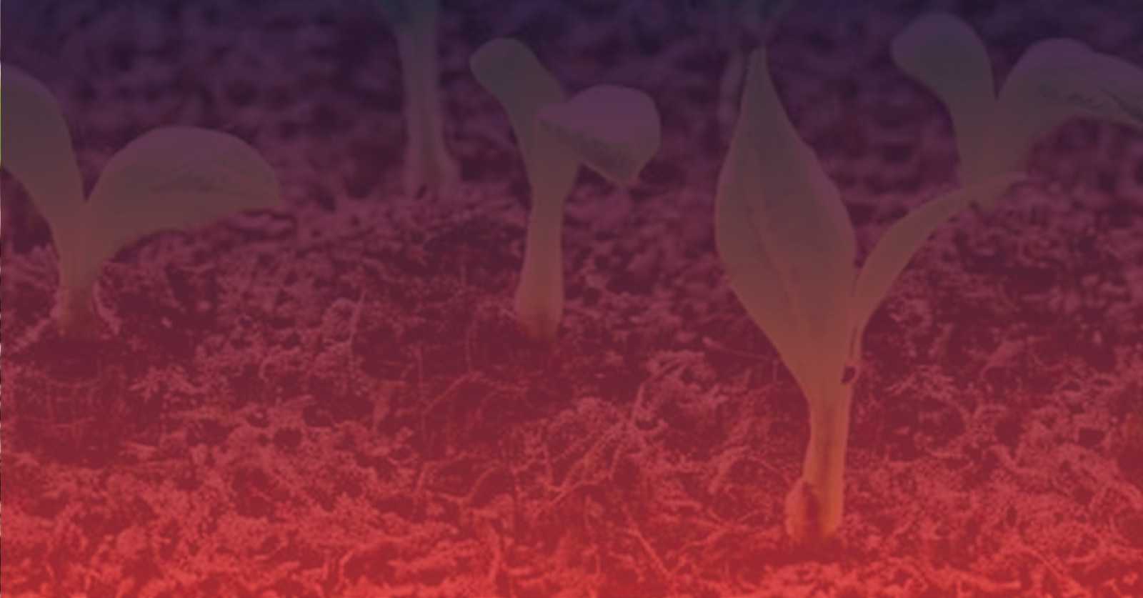 Comment Grandir ? 8 postures pour vous y aider